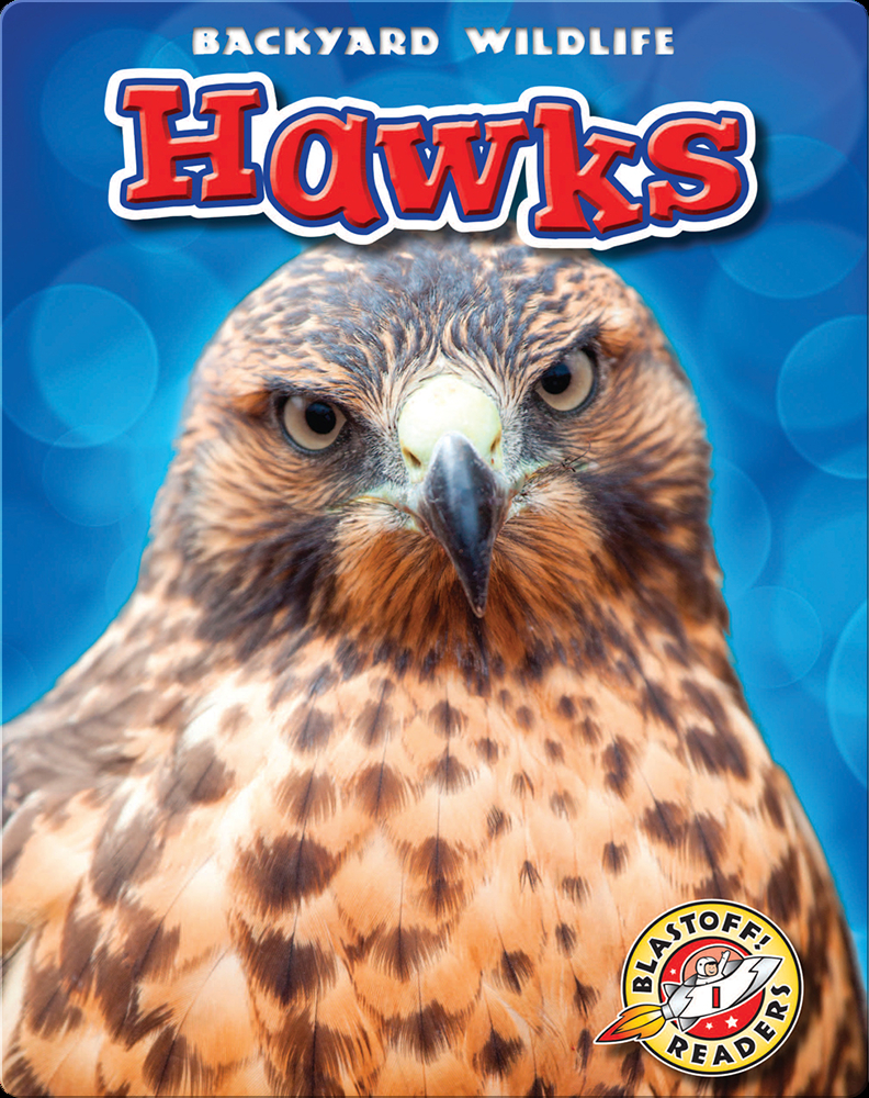 Backyard Wildlife: Hawks Children's Book by Kari Schuetz | Discover ...