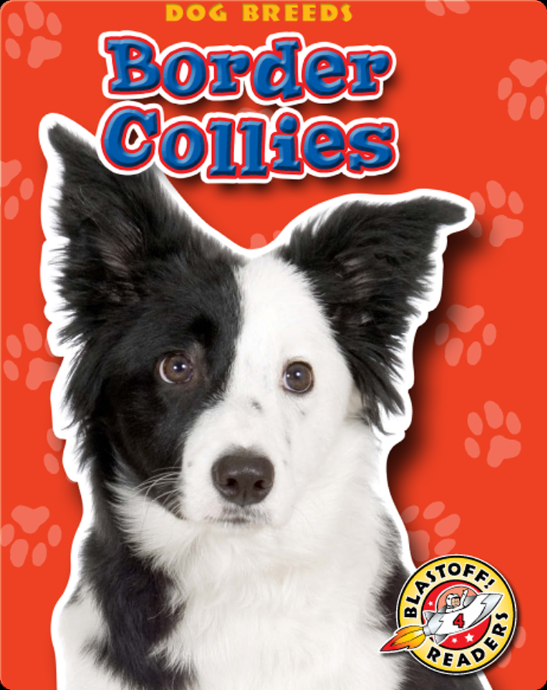 Border Collies: Dog Breeds Children's Book by Sara Green | Discover ...