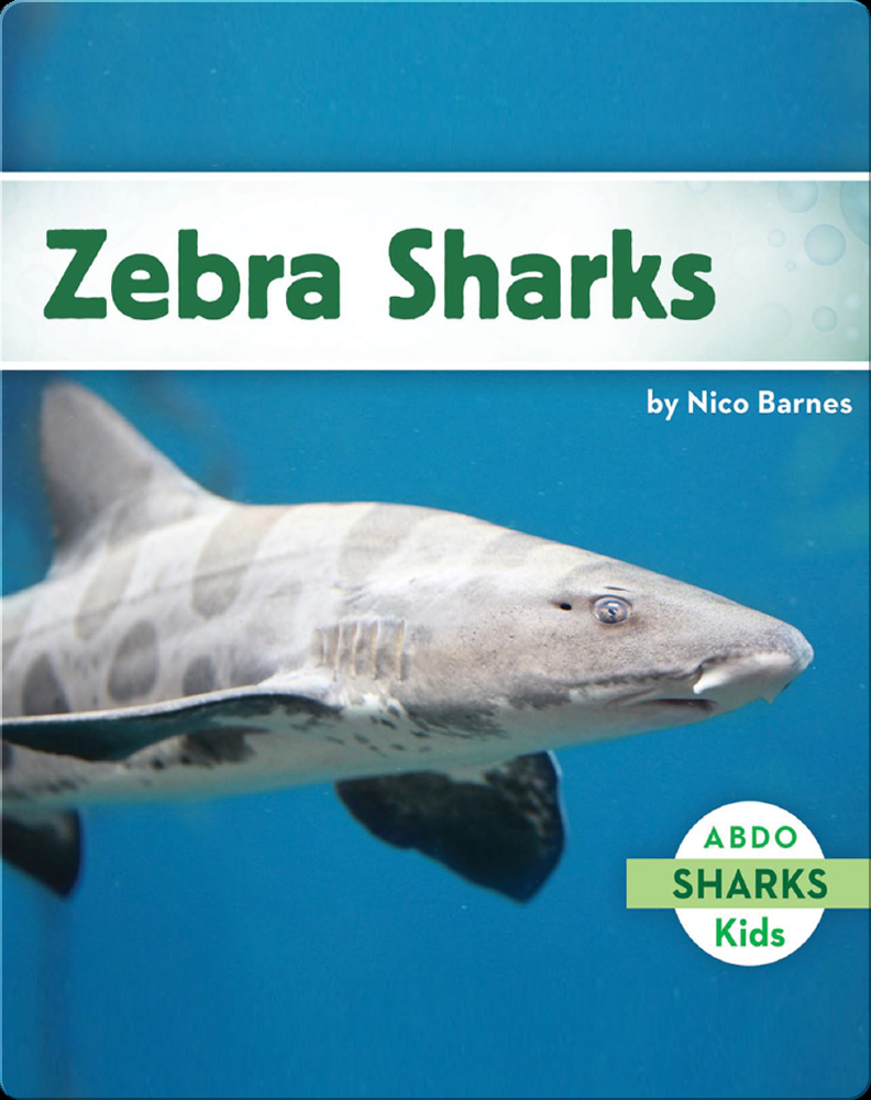 Zebra Sharks Children's Book by Nico Barnes | Discover Children's Books ...