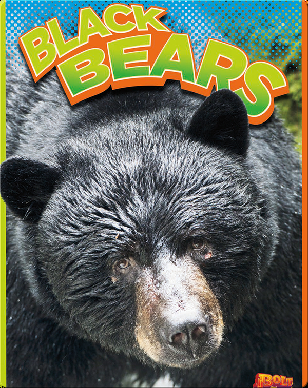 Black Bears Children's Book by Gail Terp | Discover Children's Books ...