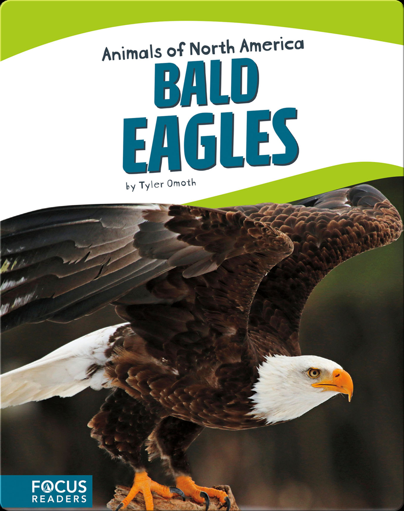 Bald Eagles Children's Book by Tyler Omoth | Discover Children's Books ...