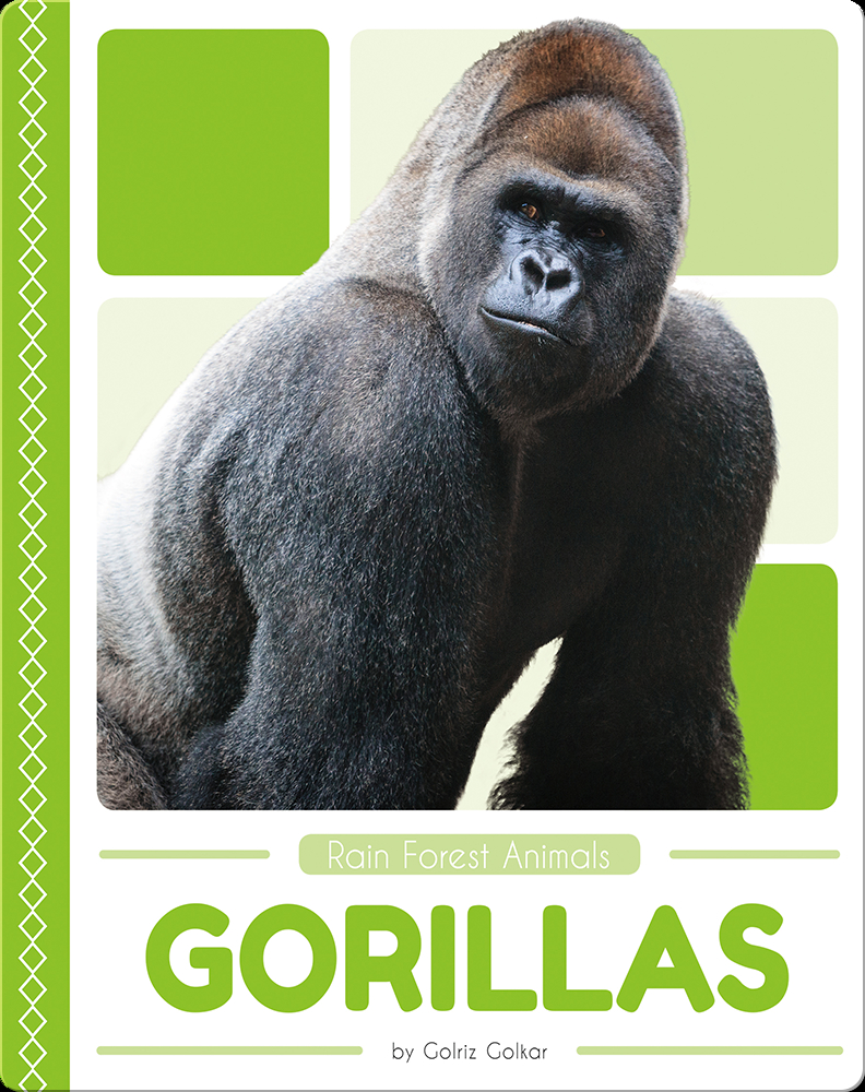 Rain Forest Animals: Gorillas Children's Book by Golriz Golkar ...