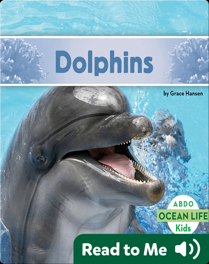 Dolphins Children's Book by Grace Hansen | Discover Children's Books ...