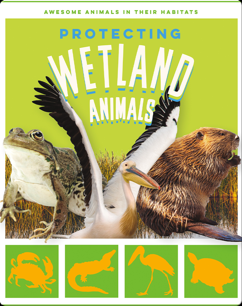 Protecting Wetland Animals Children's Book by Lauren Kukla | Discover ...