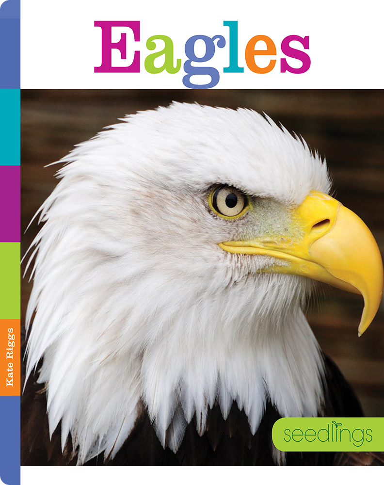 Eagles Children's Book by Kate Riggs | Discover Children's Books ...