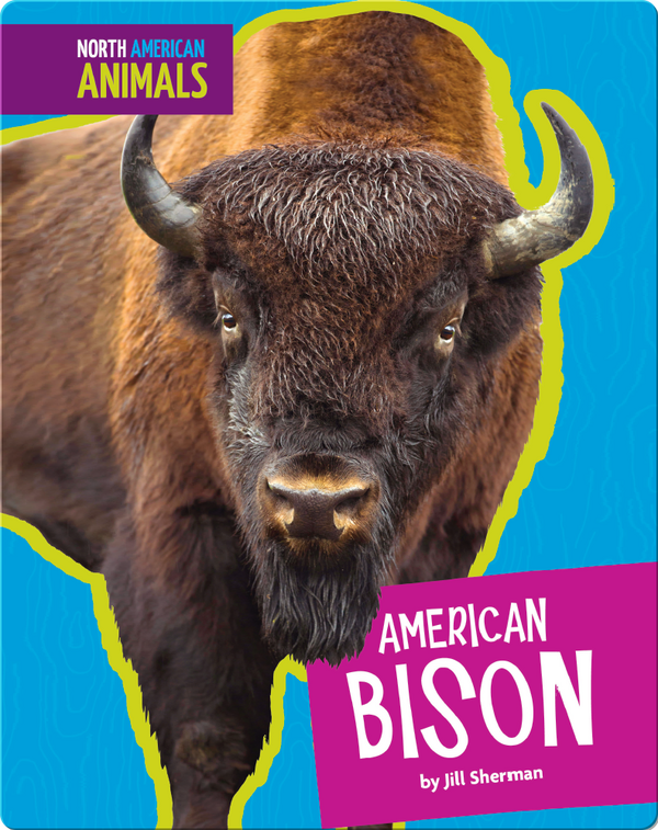American Bison Children's Book by Jill Sherman | Discover Children's ...