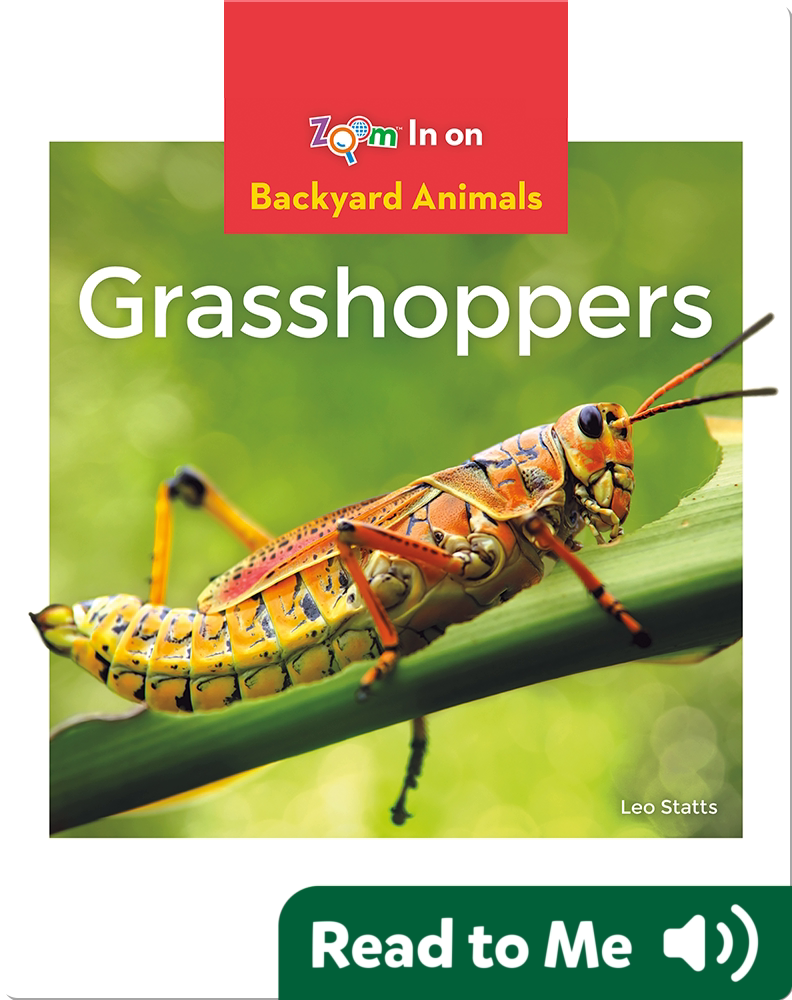 Grasshoppers Children's Book by Leo Statts | Discover Children's Books ...