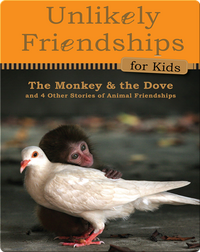 National Geographic Kids Chapters: Dog Finds Lost Dolphins Children's ...