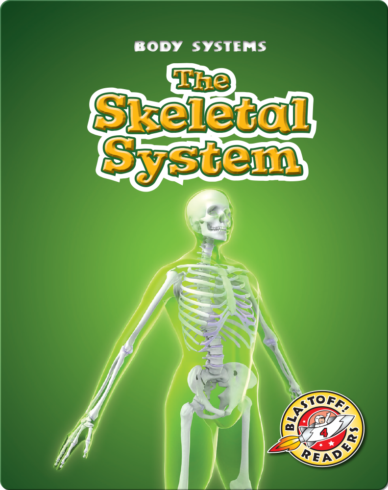 The Skeletal System Children's Book by Kay Manolis | Discover Children ...