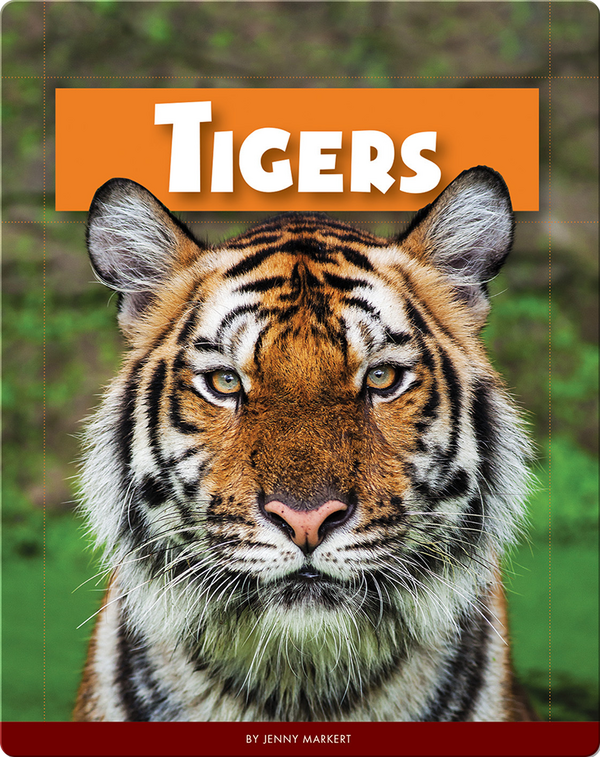 Tigers Children's Book by Jenny Markert | Discover Children's Books ...