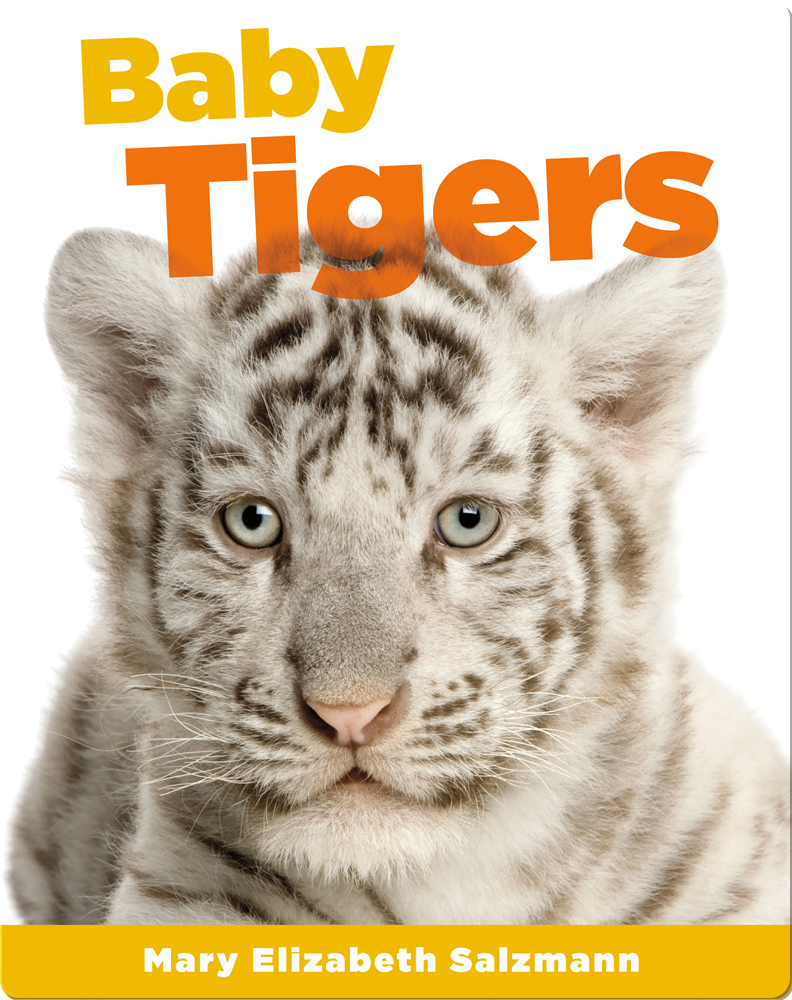 Baby Tigers Children's Book by Mark Elizabeth Salzmann | Discover ...