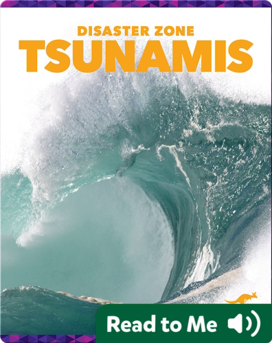 Disaster Zone: Tsunamis Children's Book by Cari Meister | Discover ...