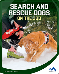 National Geographic Kids Chapters: Dog Finds Lost Dolphins Children's ...