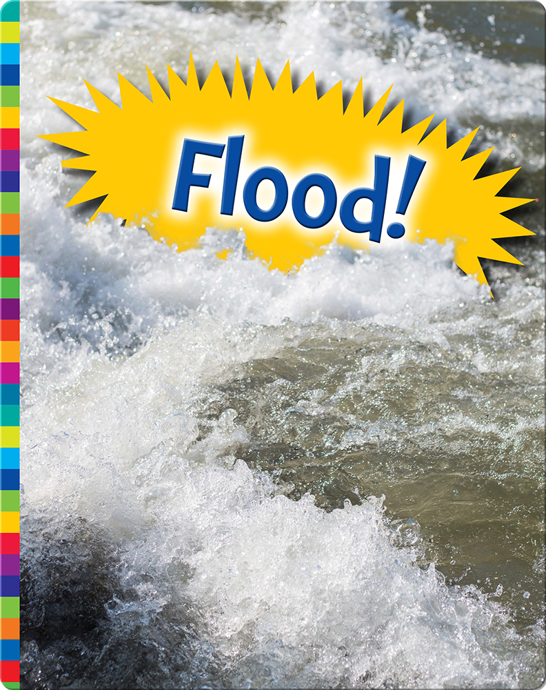 Flood! Children's Book by Elizabeth Raum | Discover Children's Books ...