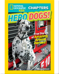 National Geographic Kids Chapters: Dog Finds Lost Dolphins Children's ...