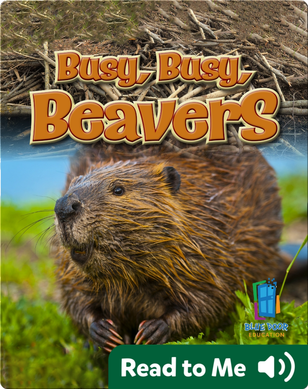 Busy, Busy, Beavers Children's Book by Alan Walker | Discover Children ...