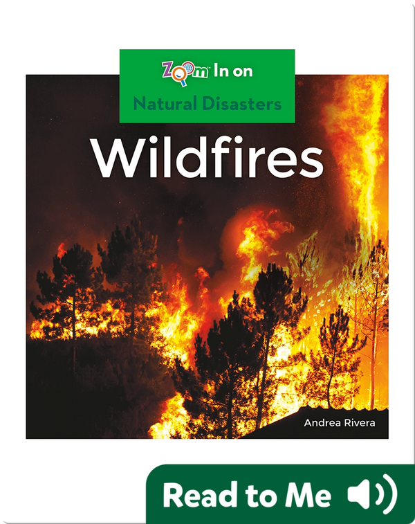 Wildfires Children's Book by Andrea Rivera | Discover Children's Books ...
