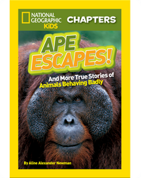 National Geographic Kids Chapters: Dog Finds Lost Dolphins Children's ...