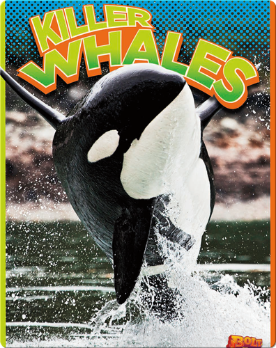 Killer Whales Children's Book by Gail Terp | Discover Children's Books ...