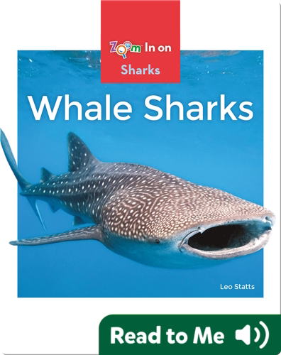 Whale Sharks Children's Book by Leo Statts | Discover Children's Books ...