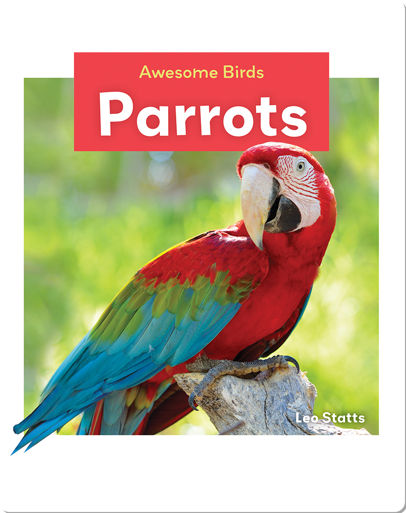 Parrots Children's Book by Leo Statts | Discover Children's Books ...
